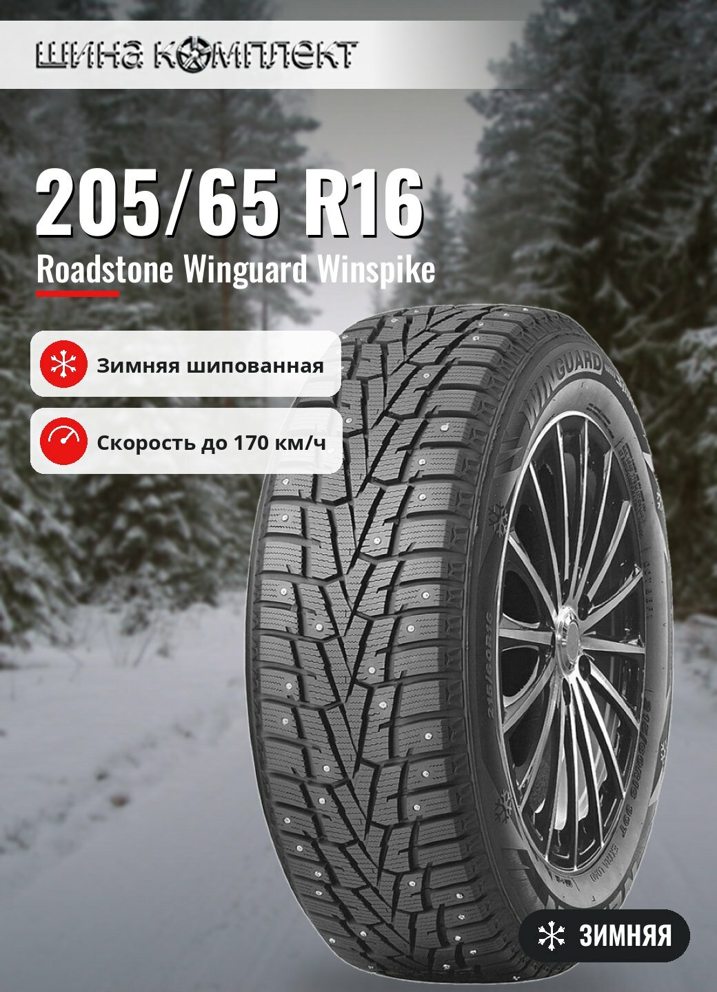 Автомобильная шина Roadstone Winguard Winspike 205/65 R16 107/105R зимняя шип