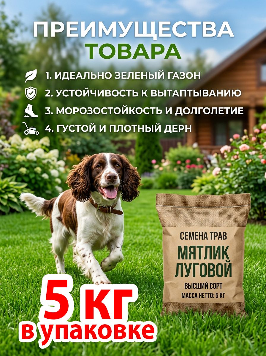 Мятлик луговой семена для газона 5 кг