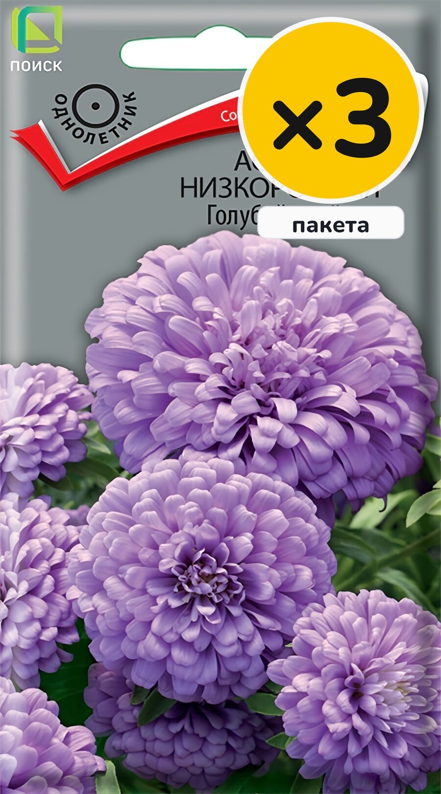 Семена астры низкорослой Голубой ковёр, 0,2 г, 3 пакета, Поиск, однолетник, высота до 20 см
