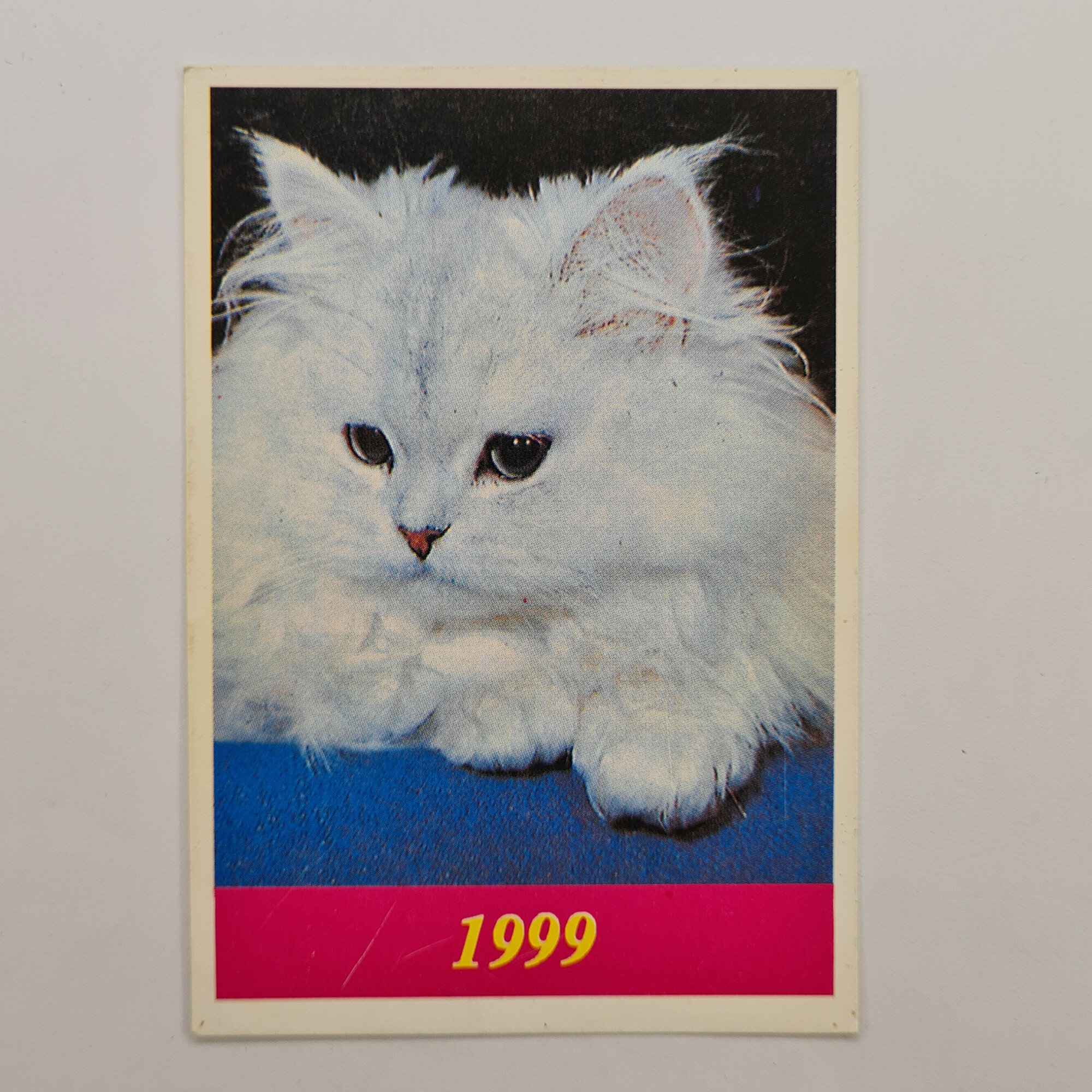 Карманный календарик 1999. Белый кот, домашние животные. Календарь винтажный Воениздата