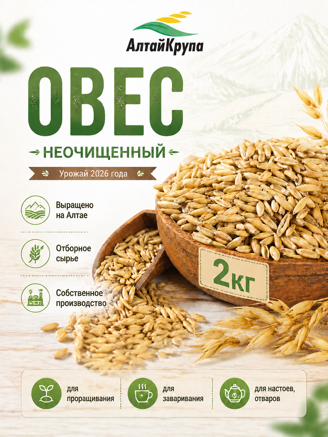Овес неочищеннный в оболочке для проращивания и заваривания 2 кг