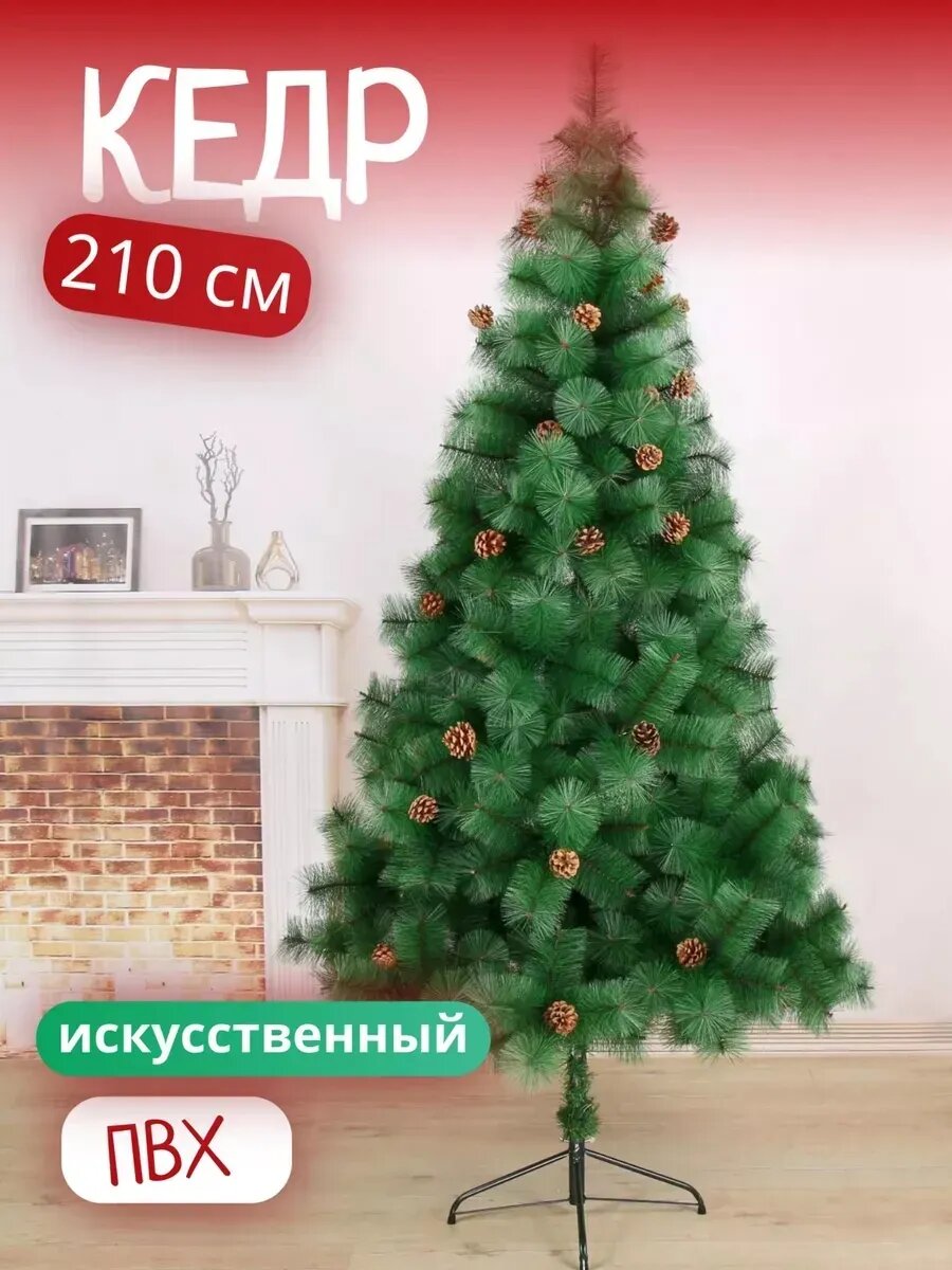 Кедр зеленый шишки 210 см, d нижнего яруса 110 см, d игл 10