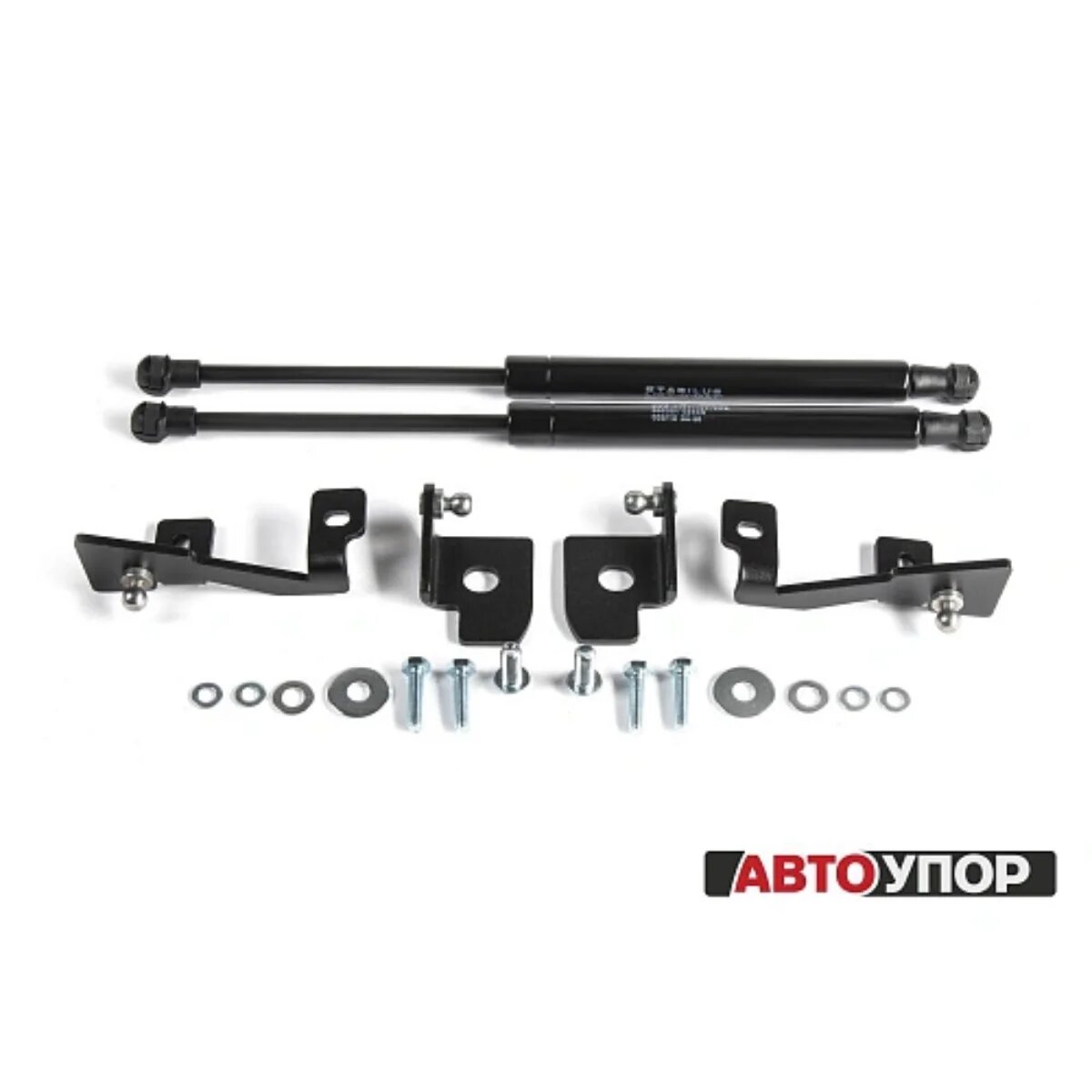 Газовые упоры капота АвтоУпор для Kia Rio III 2011-2017, 2 шт, UKIRIO012