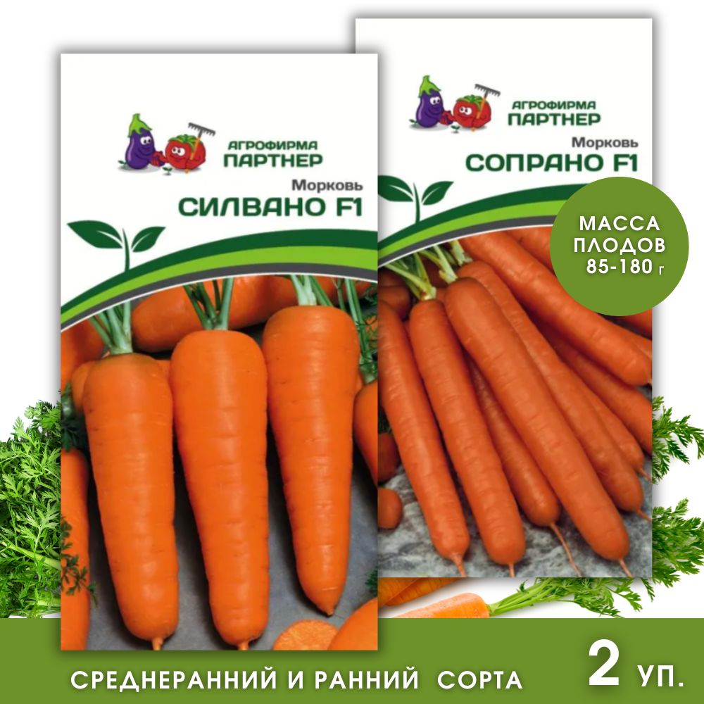Семена моркови Сильвано и Сопрано