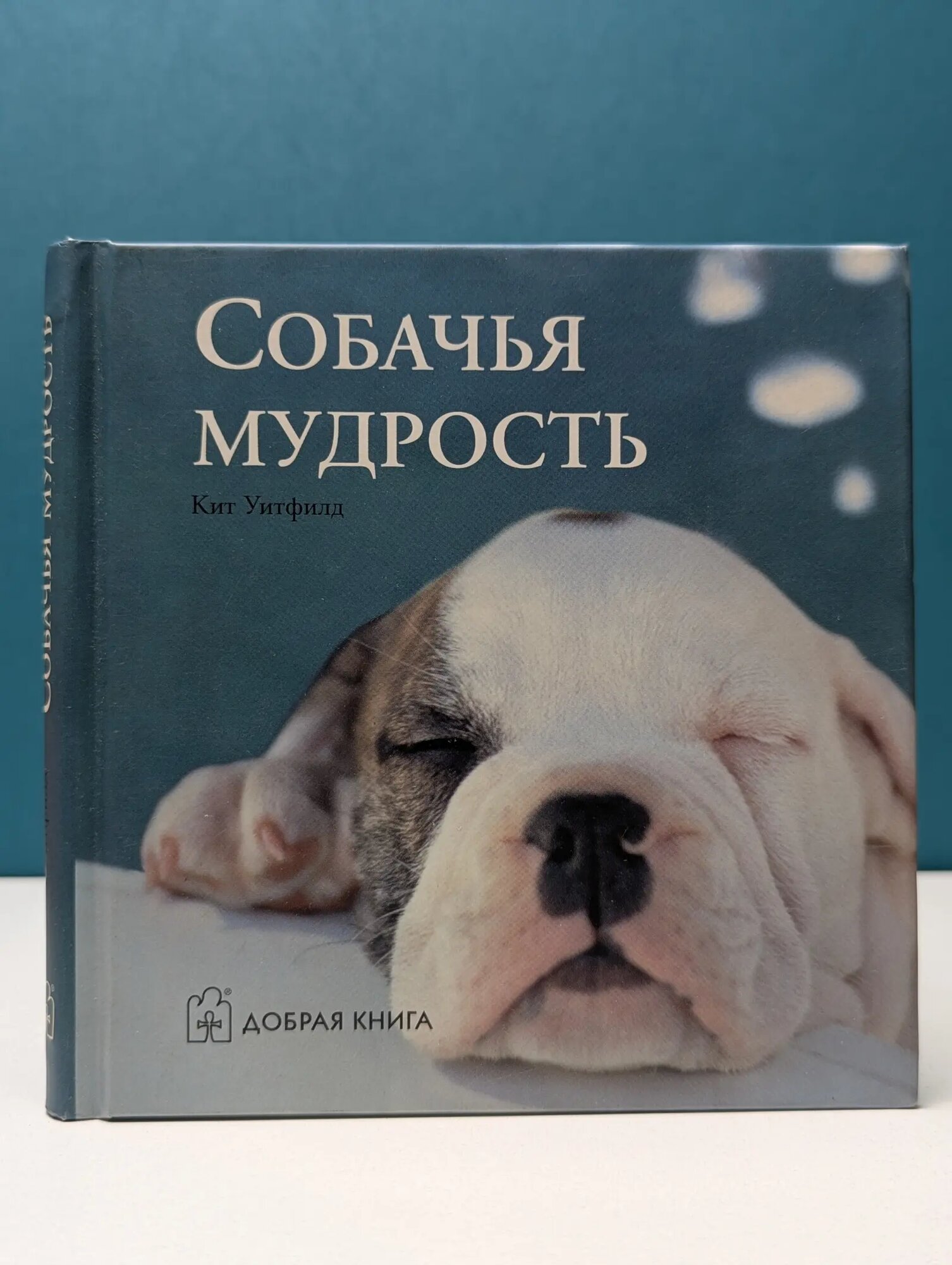 Собачья мудрость Уитфилд Кит 2006