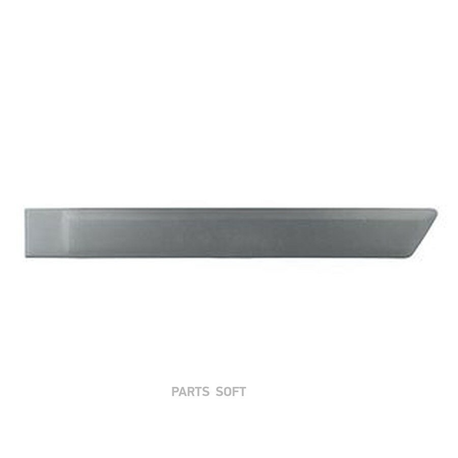 BSG30924039 BSG AUTO PARTS Молдинг задней левой двери-серый