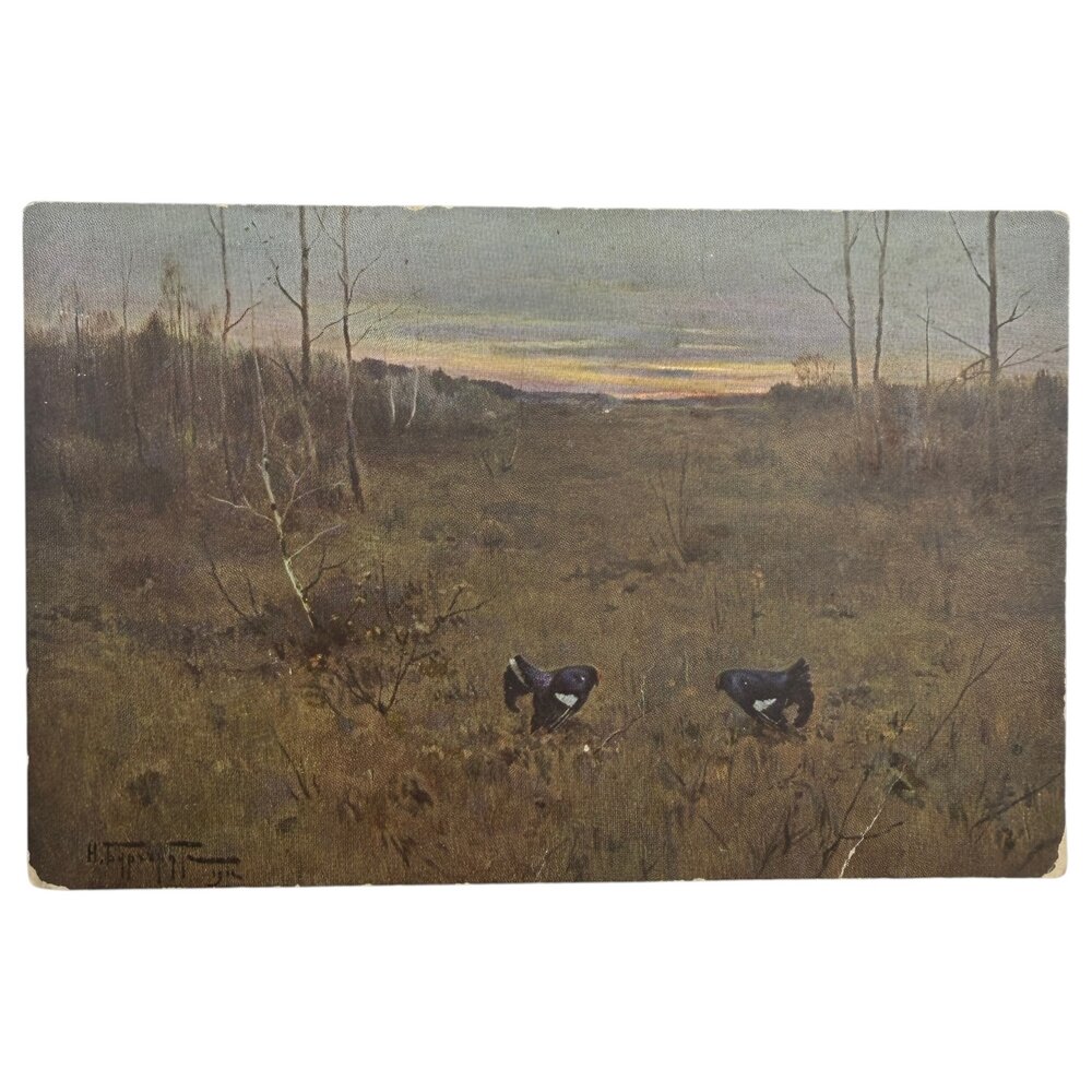 Почтовая открытка "Бурхардт - Тетеревиный ток" 1900-1910 гг. Гранберг, Российская Империя