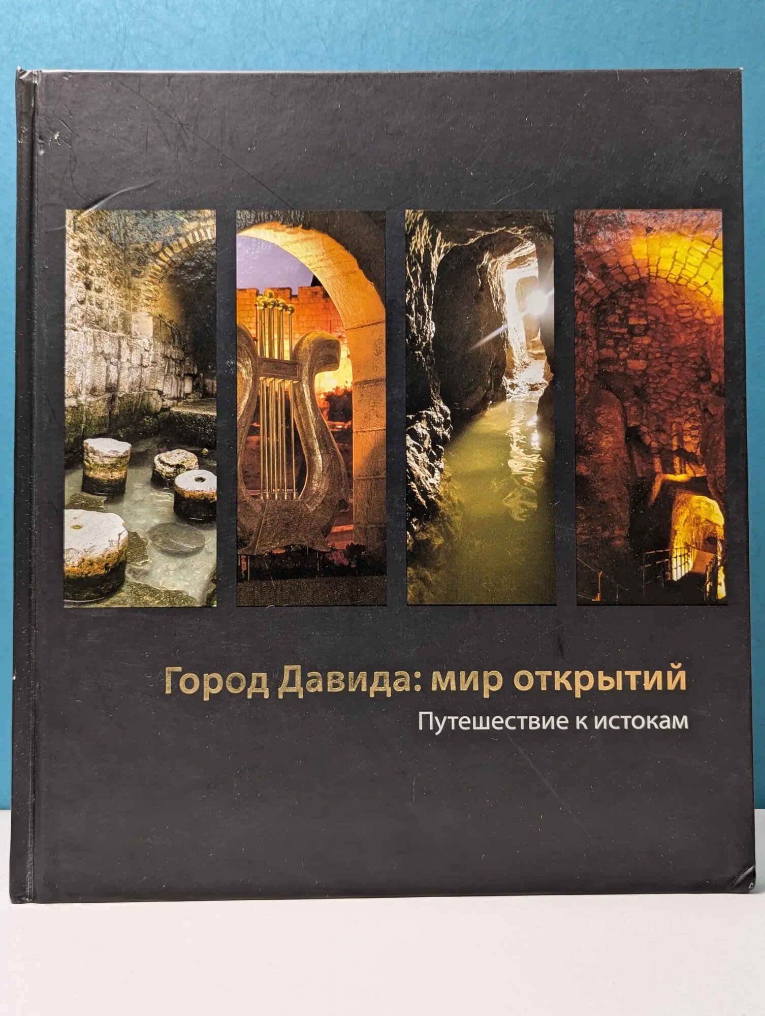 Город Давида. Мир открытий. Путешествие к истокам Горовиц Аарон 2010