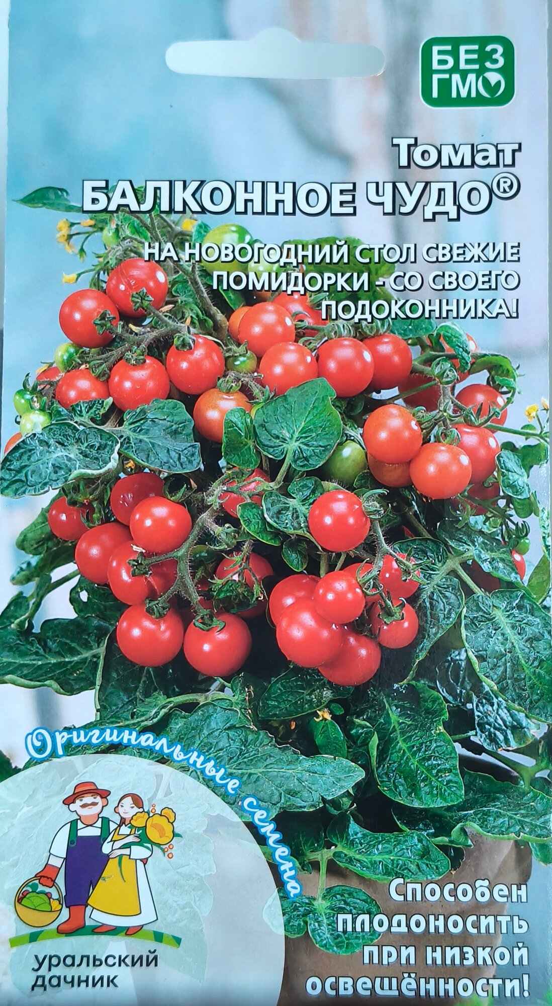 Томат Балконное Чудо