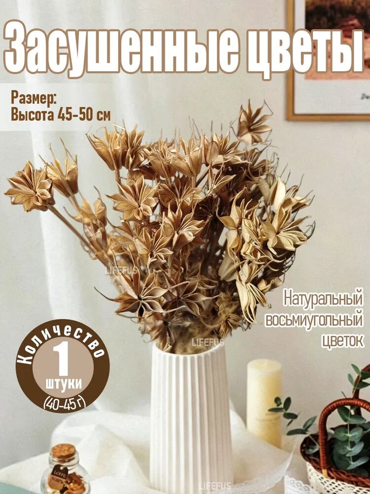 LIFEFUS Сухоцветы Бадьян натуральные, 1 букет, медь, 45-50 см