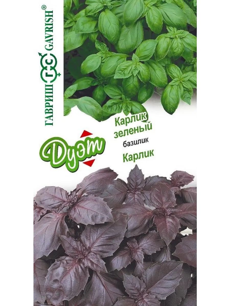 Базилик Карлик фиолетовый+Карлик зеленый. Дуэт 0,2 гр