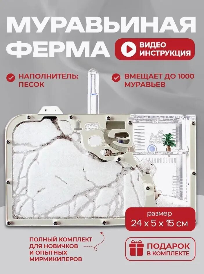 Формикарий с песком — муравьиная ферма для наблюдения за муравьями и обустройства домашней колонии