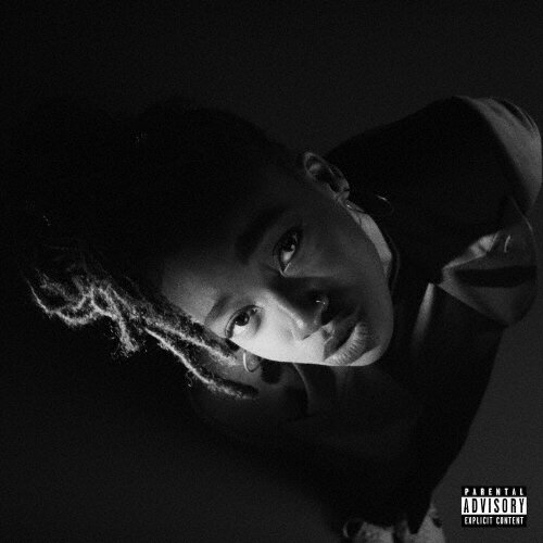 Музыка CD Little Simz - Grey Area (CD, Album, Promo, 2019)