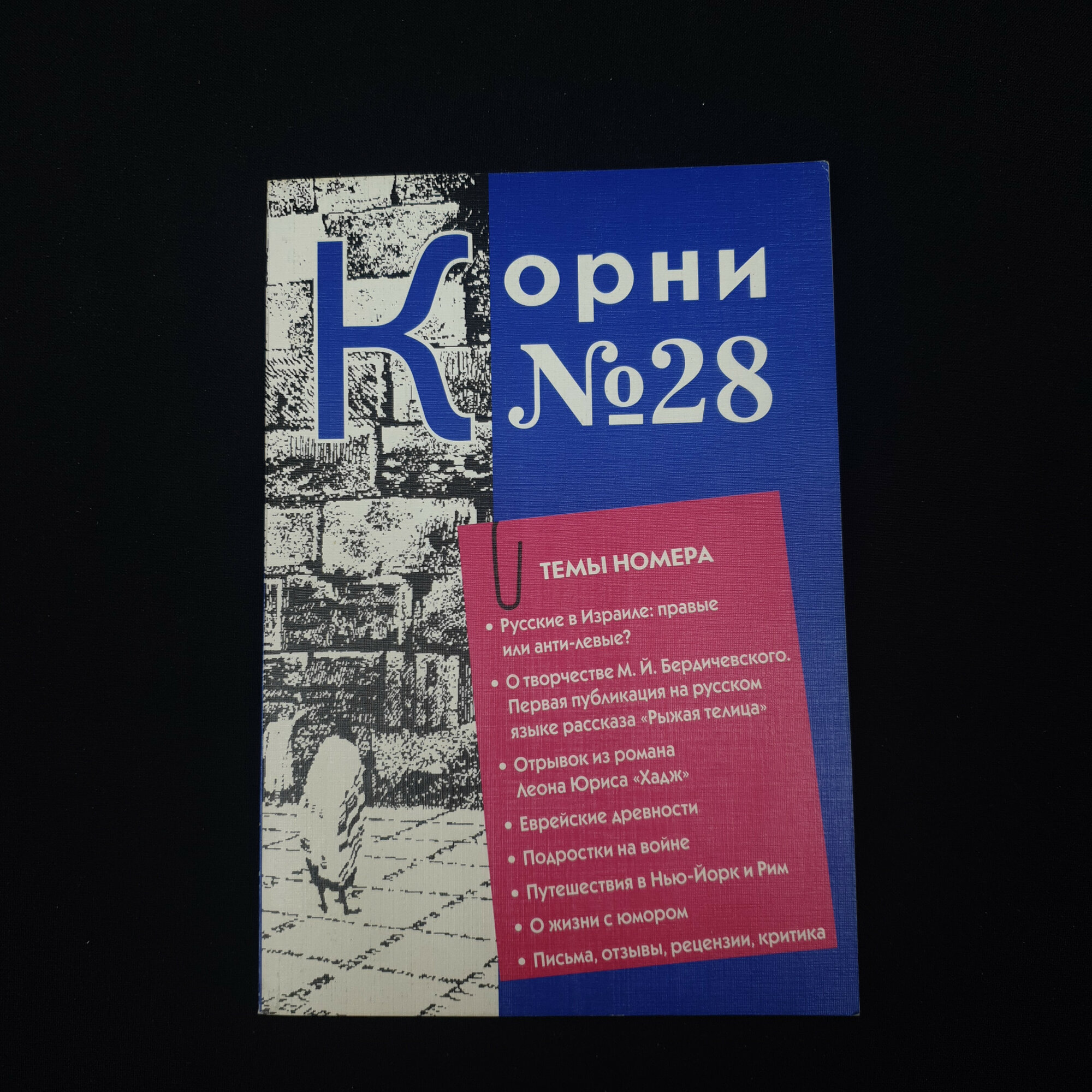 Корни номер двадцать восемь. Книга. Общественно публицистический культурный журнал еврейских общин