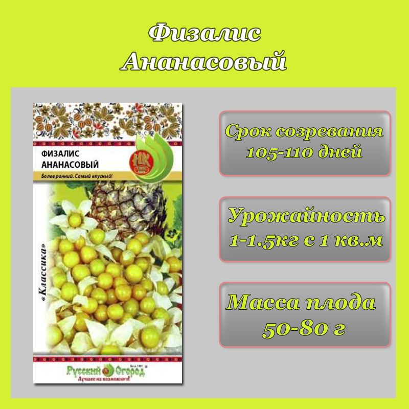 Семена Физалис Ананасовый (1 упаковка-20шт семян)