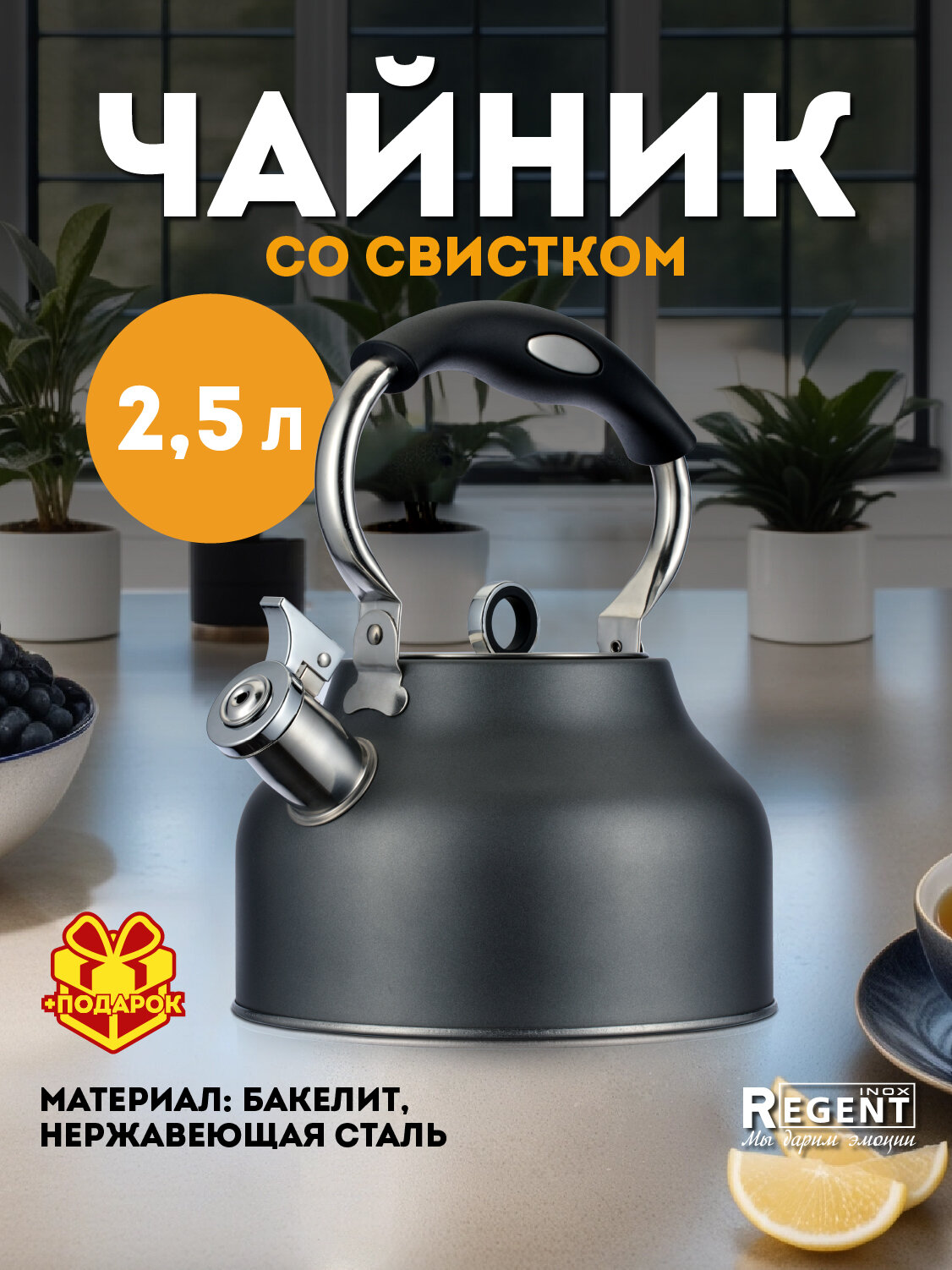 Чайник Regent Inox 2,5л со свитком, нержавеющая сталь, модерн