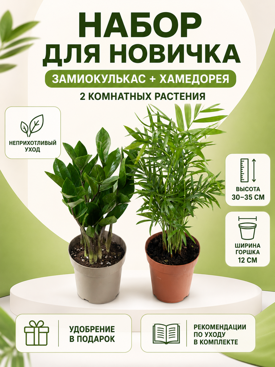 Geo Glass - Набор растений Замиокулькас + Хамедорея, комнатные цветы 12/30см для дома и офиса Гео Гласс
