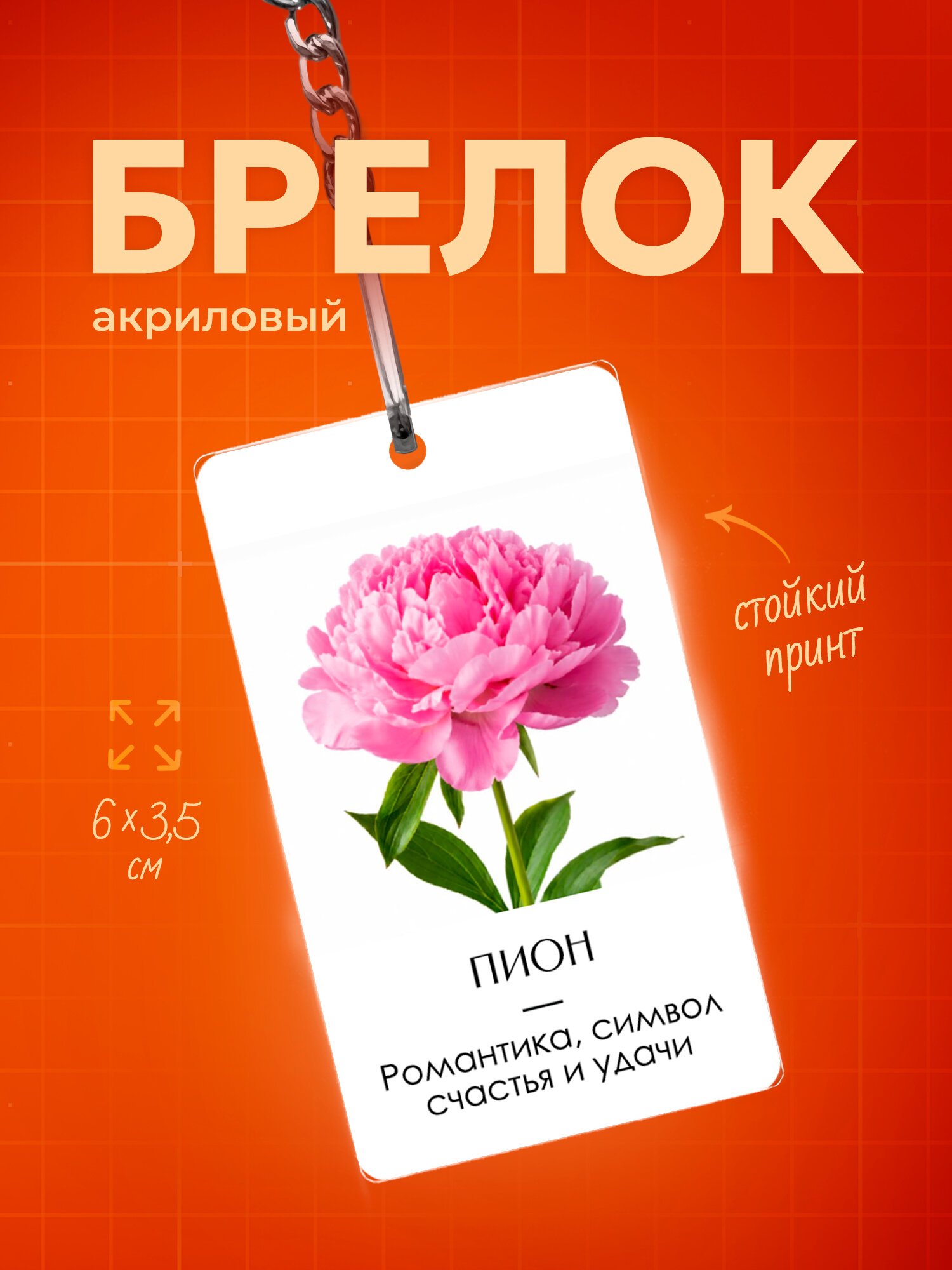 Брелок IREVIVE