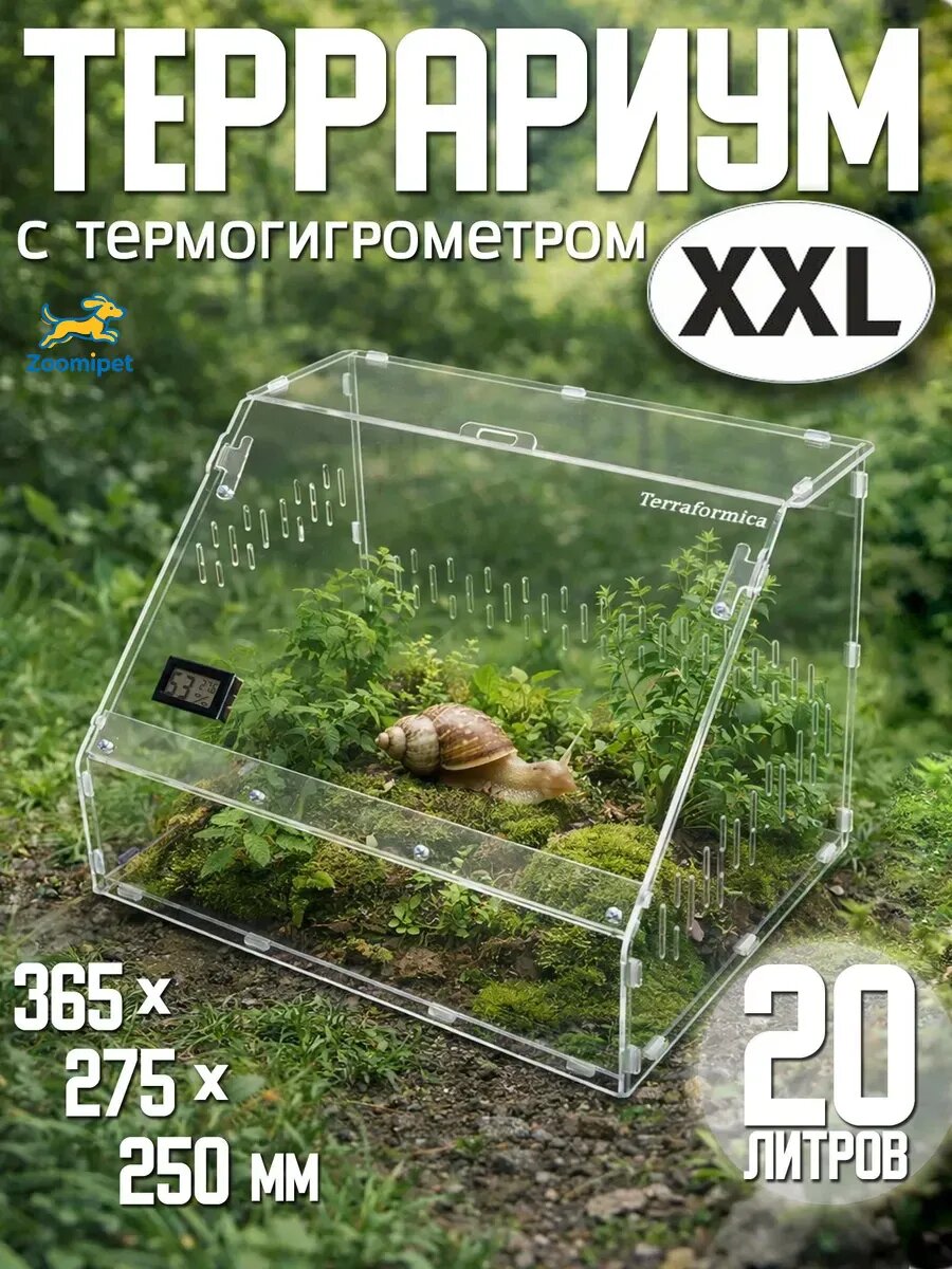 Террариум для улиток эублефаров пауков с термогигрометром