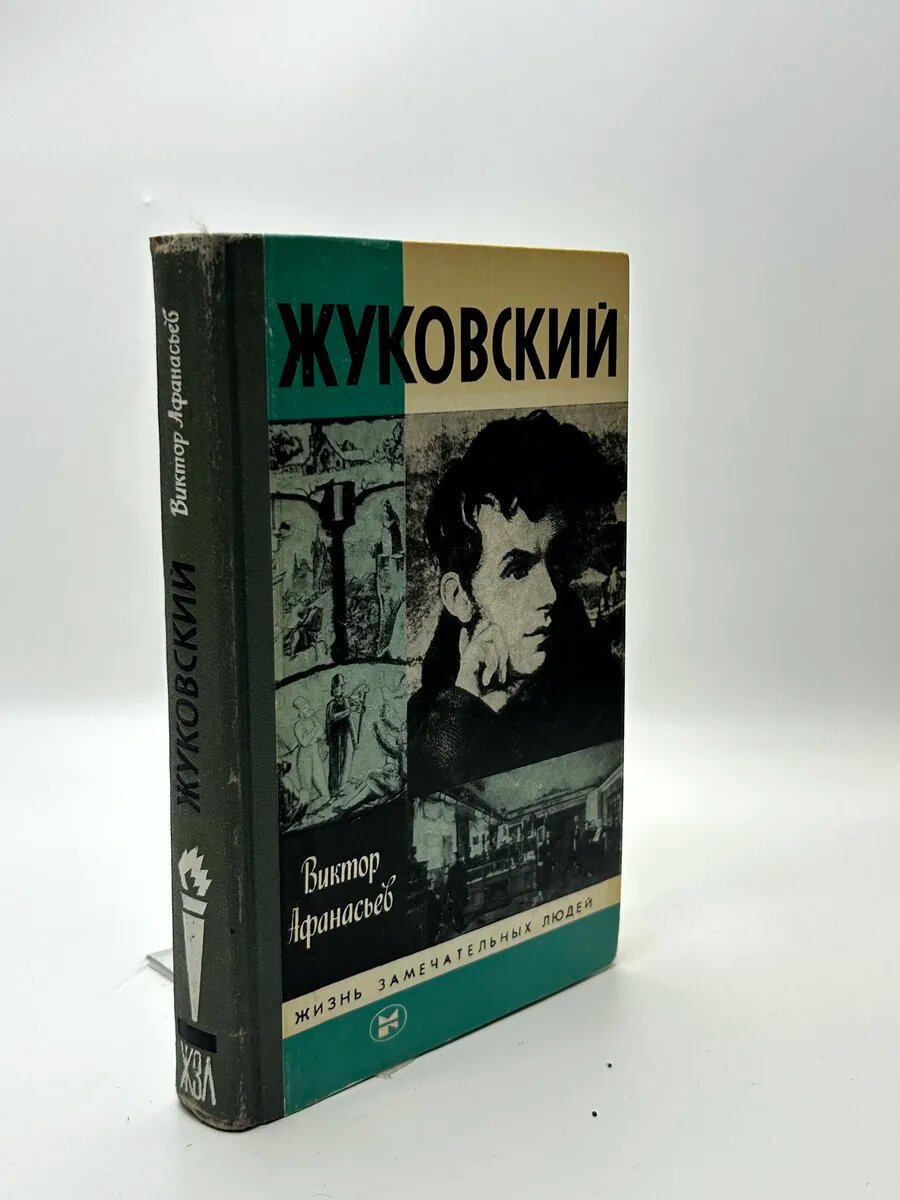 Виктор Васильевич Афанасьев. Жуковский