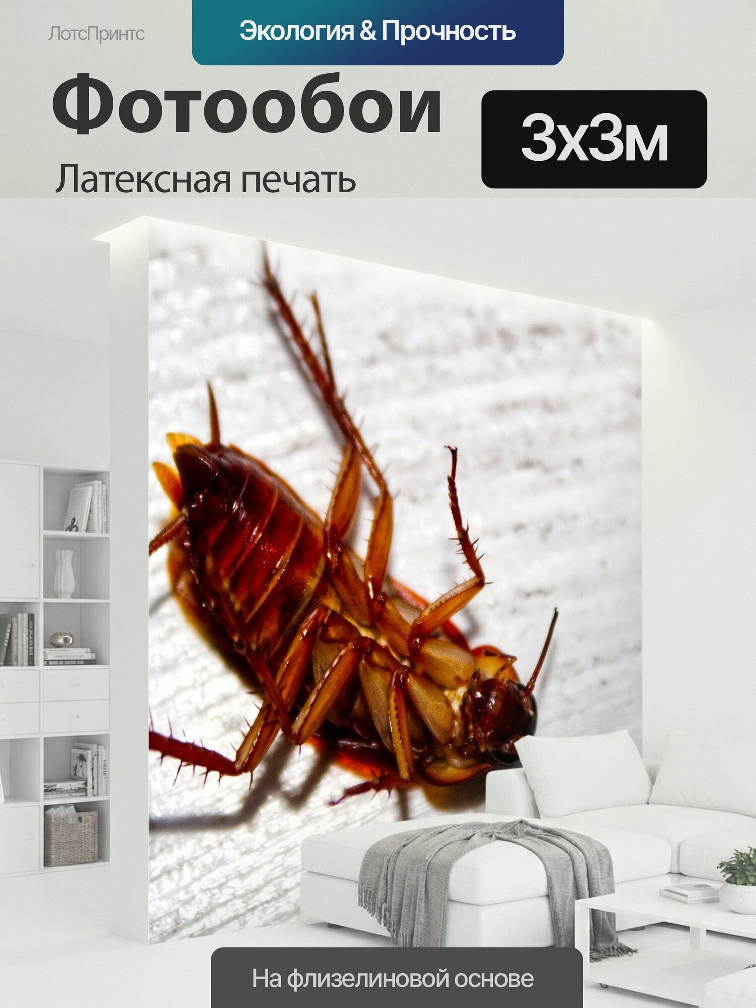 Фотообои моющиеся ударопрочные "Таракан, жук, насекомое" 300x300 см. латексная печать