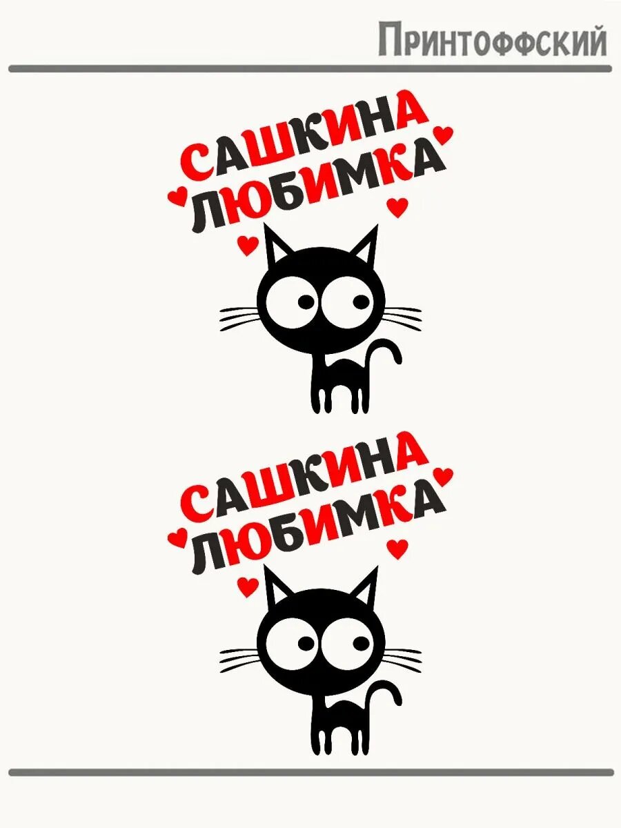 Термонаклейка имена котик сашкина любимка саша