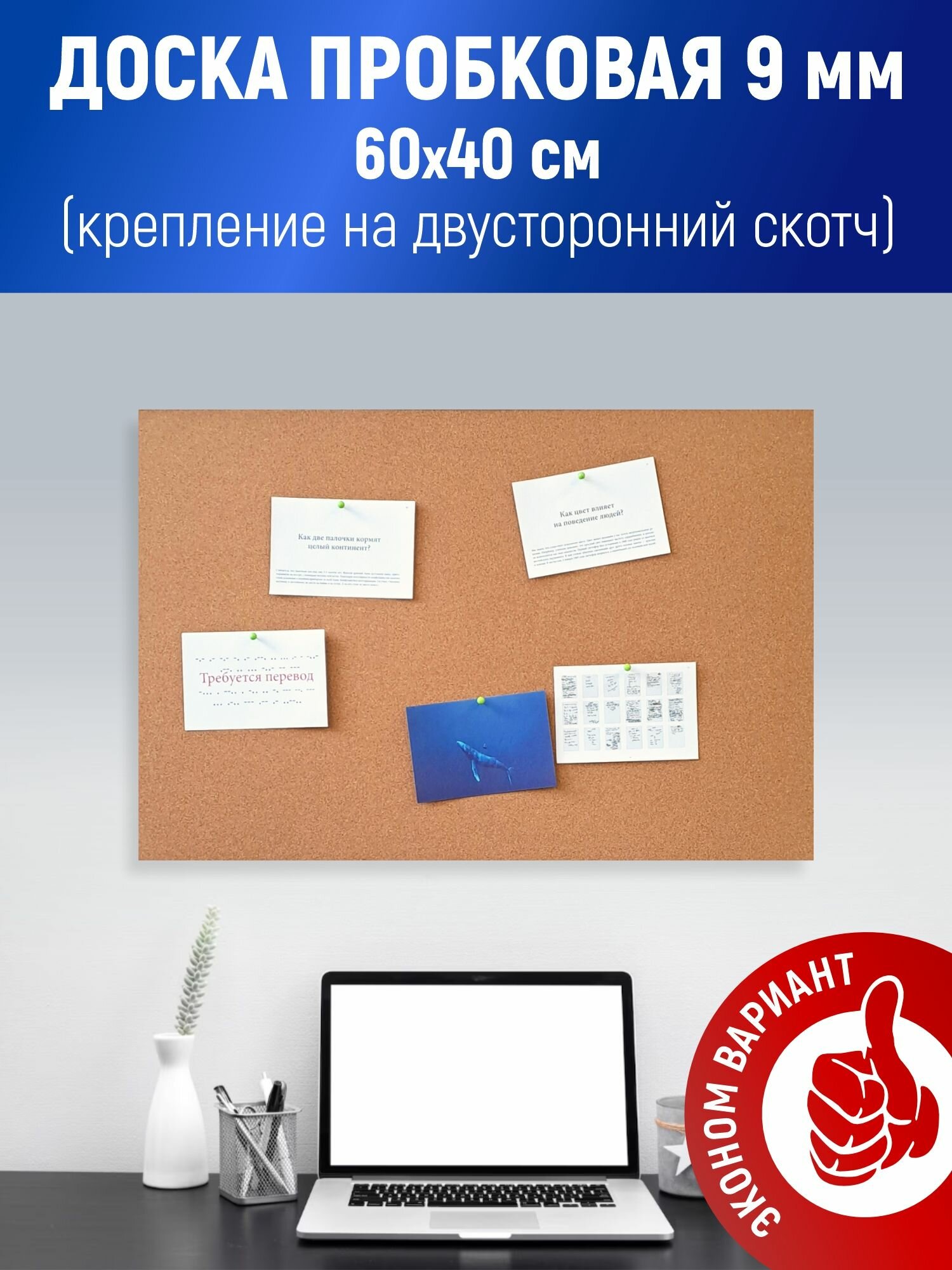Пробковая доска 60х40 см толщина 9 мм без рамы Stendplus для размещения заметок, информации и фотографий