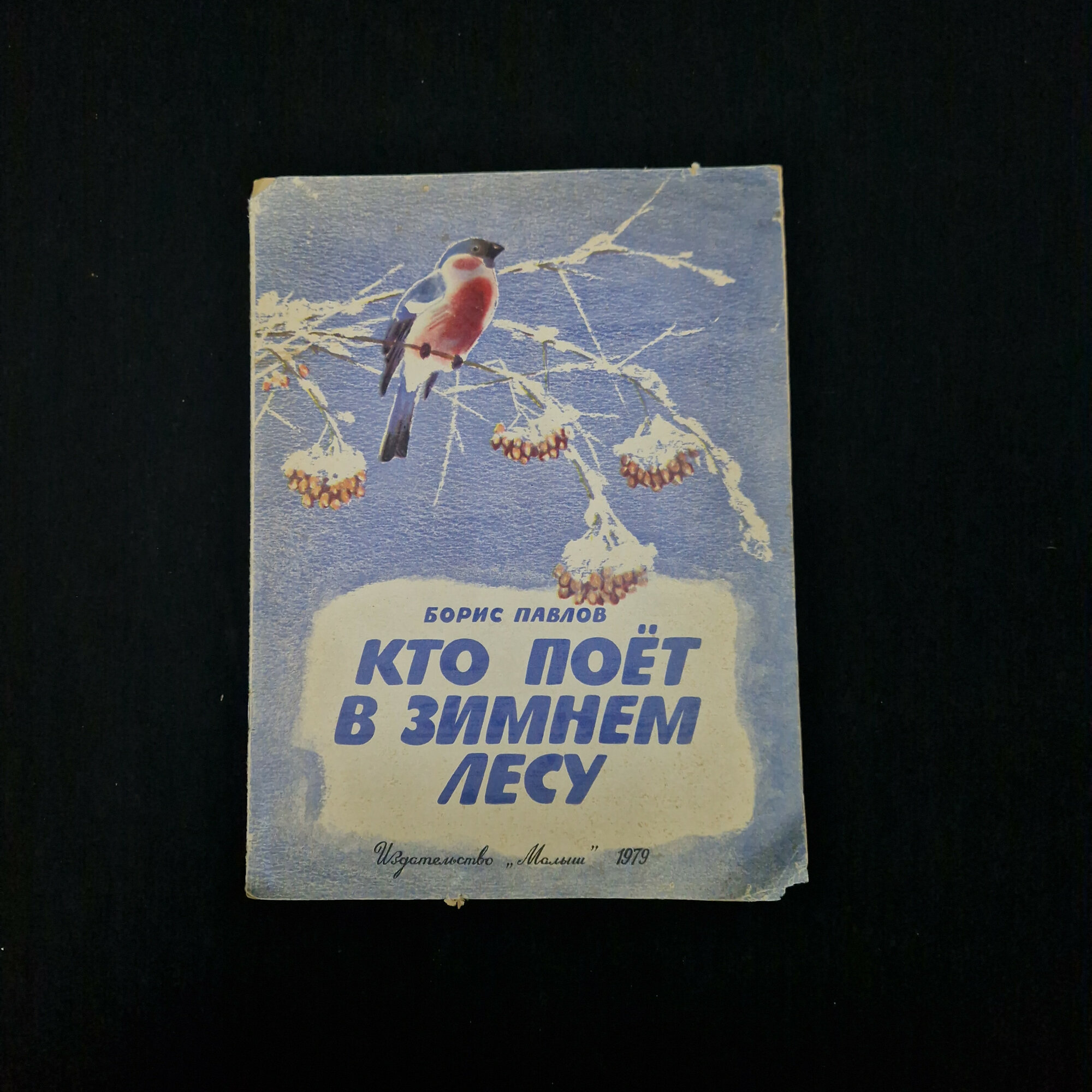 Борис Павлов. Кто поет в зимнем лесу. Книга. Детская литература.