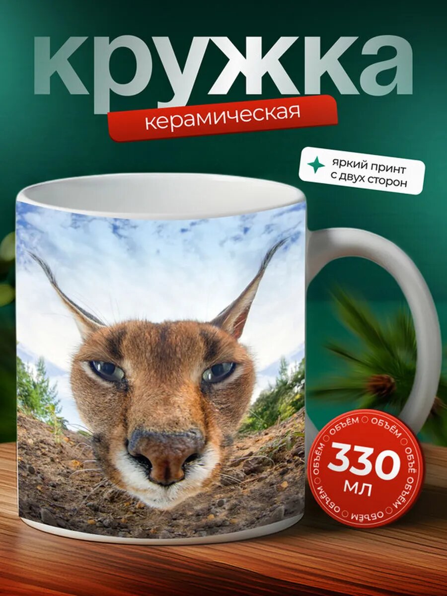 Кружка Каракал животное 9,