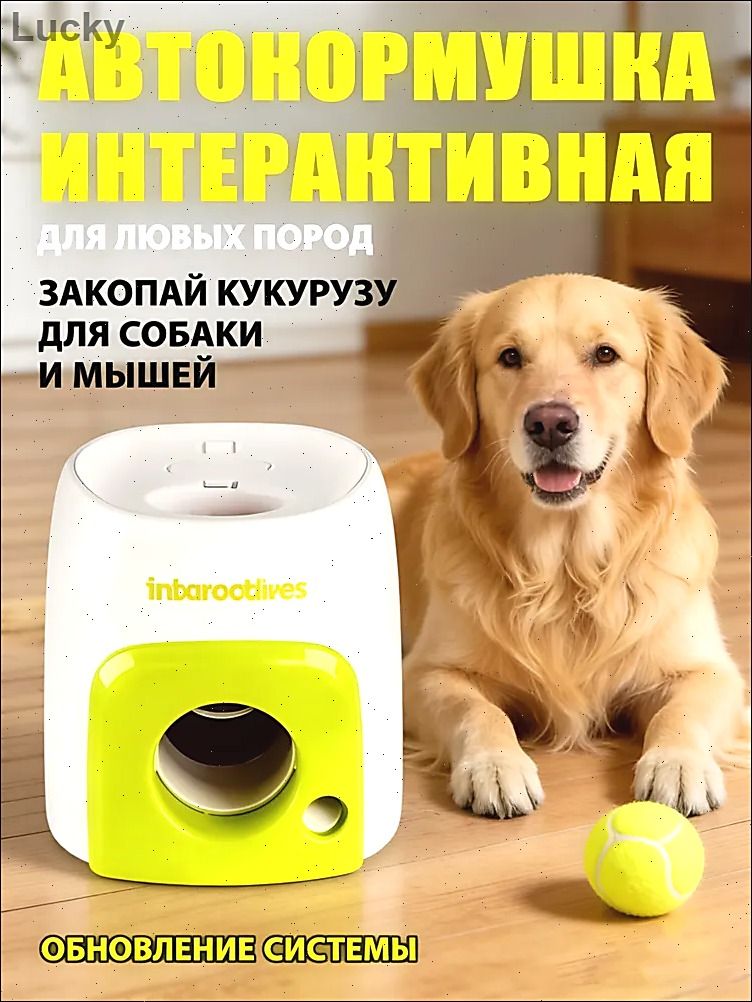 Катапульта для собак автоматическая / мячики - d-5см 3шт, расстояние от 3 до 9 метров / умная, развивающая, интерактивная игрушка для мелких и средних пород / бросатель мячей