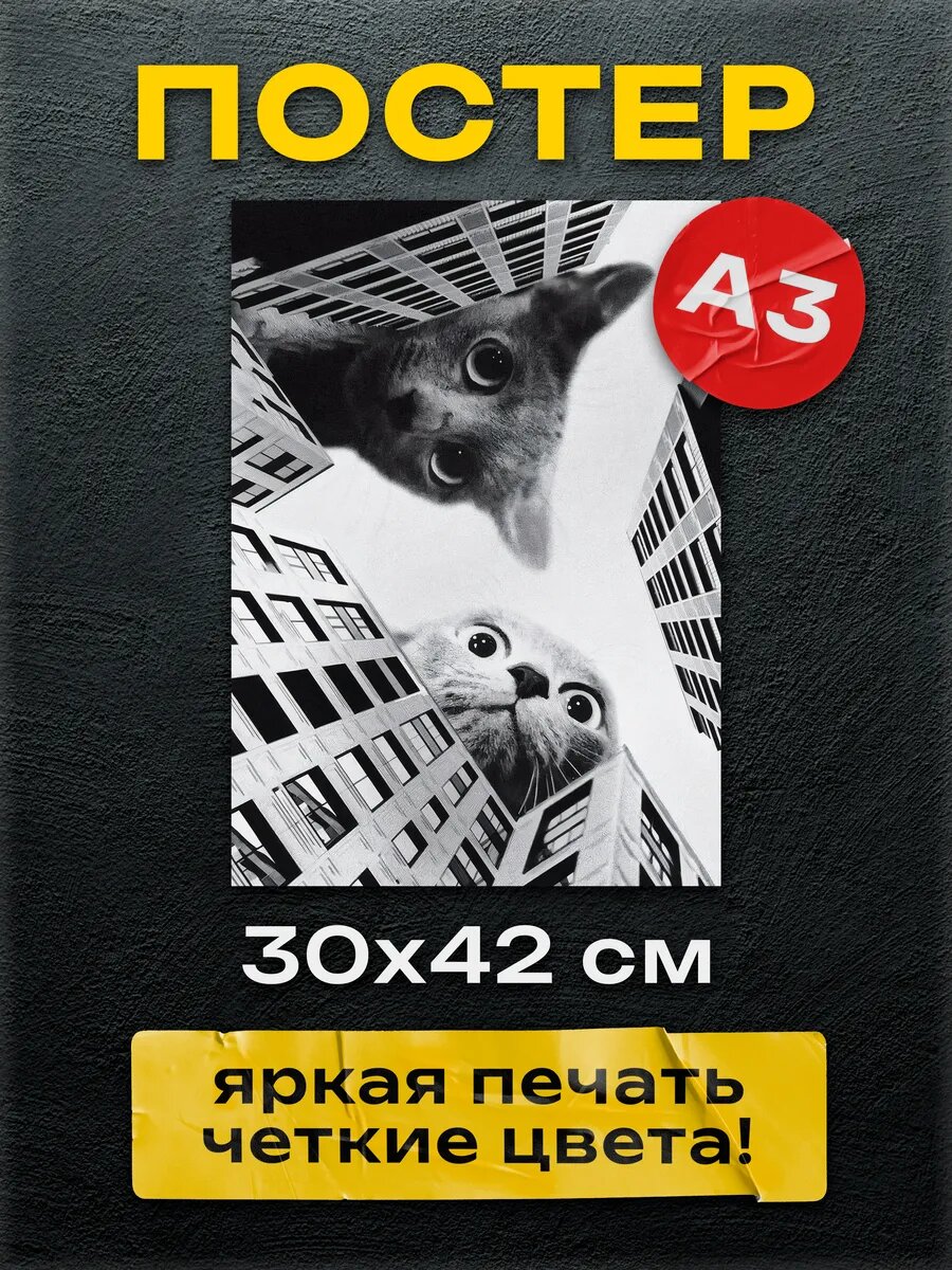 Постер для офиса "Коты в городе"