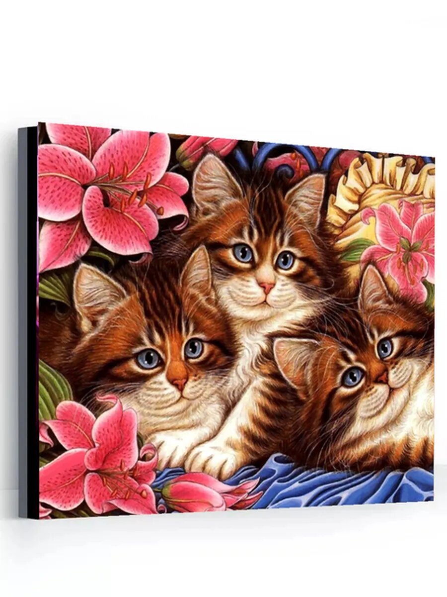 Картина по номерам "Котята с голубыми глазами", на холсте на подрамнике, 40 x 50 см