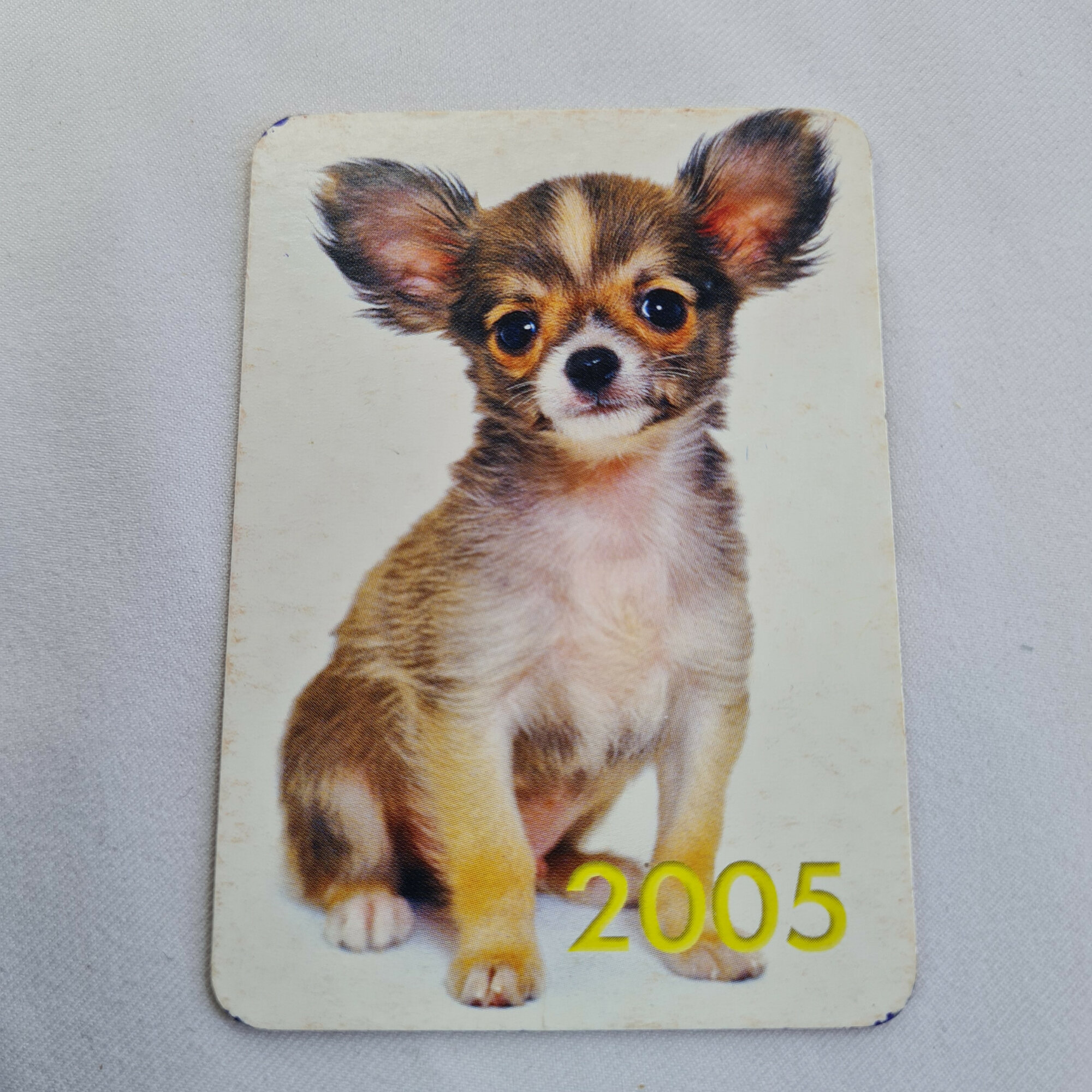 Карманный календарик 2005. Щенок чихуахуа, собака декоративной породы. Календарь винтажный