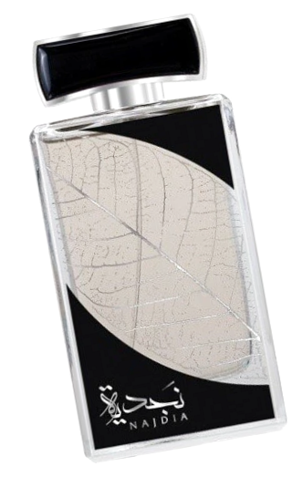 Наждия парфюмерная вода мужская 100 мл / Lattafa Perfumes Najdia