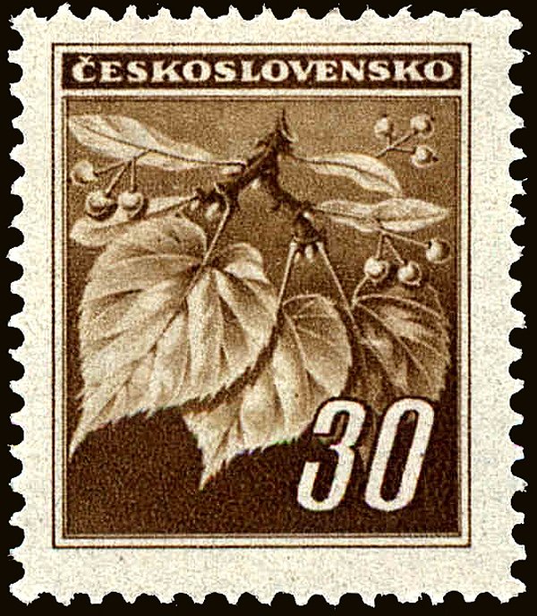 (1945-019) Марка Чехословакия "Липовая ветка (Коричневая)" Липовая ветка. Пражское издание (Станд
