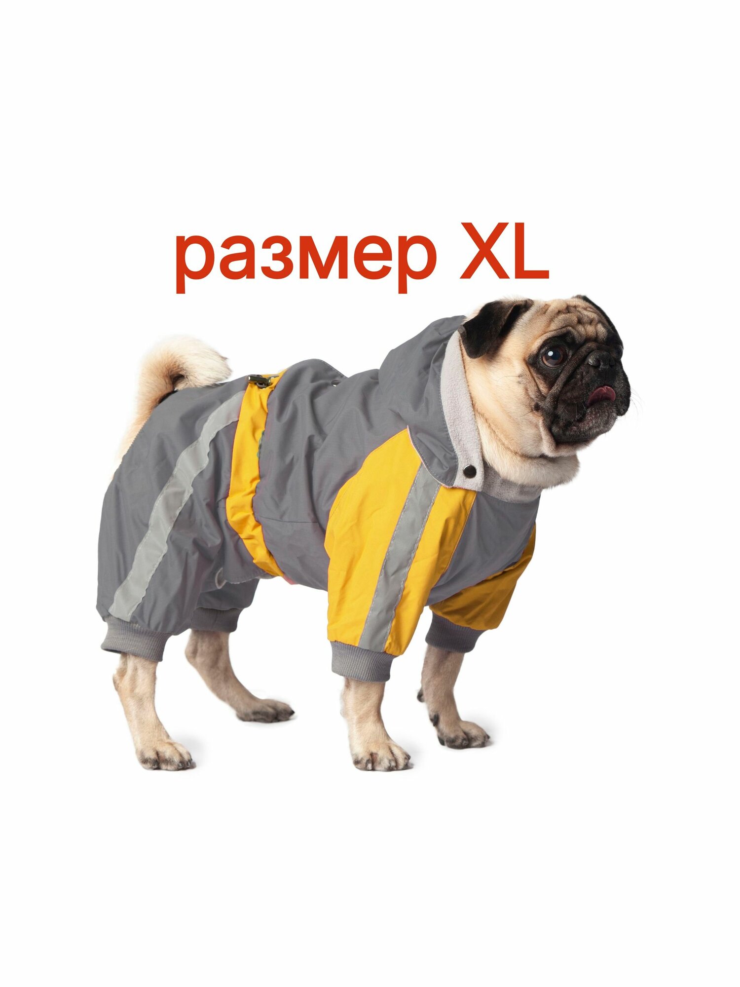 Комбинезон мембранный для Мопса на флисе на девочку