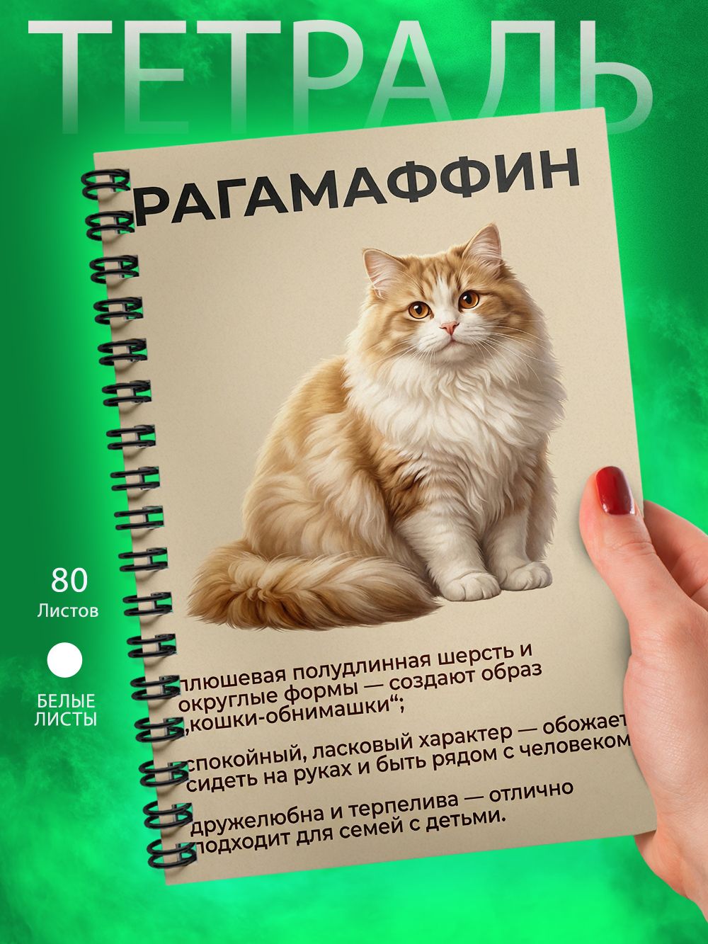 Тетрадь - А5 - Кошка - Рагамаффин