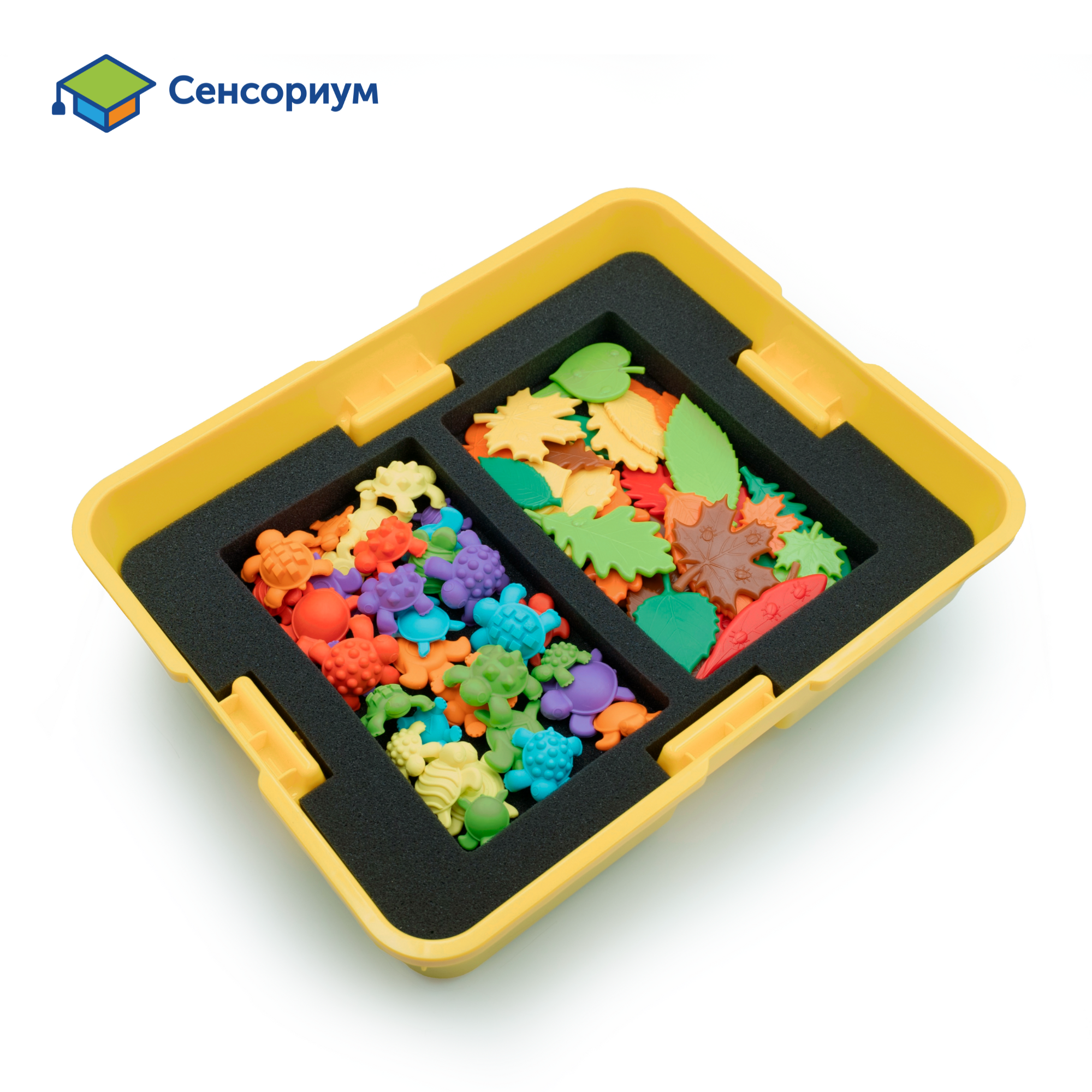 Модуль "Сенсорное развитие. ОВЗ" Learning Resources MS0090/5Арт. 16803