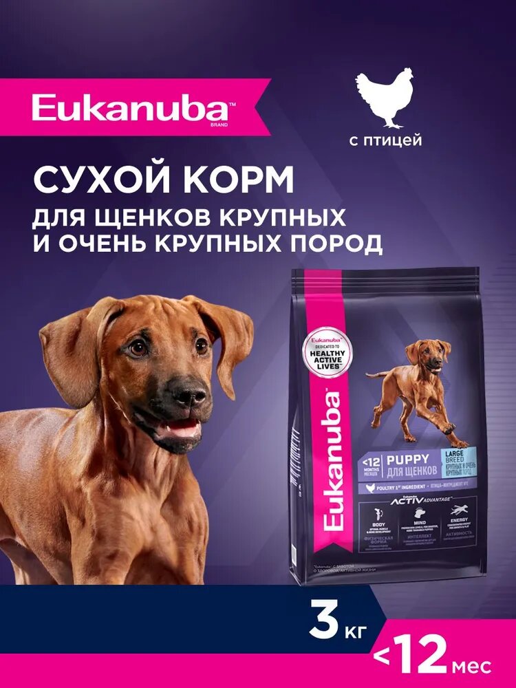 Сухой корм для щенков Eukanuba Large Breed для крупных пород с птицей, 3 кг