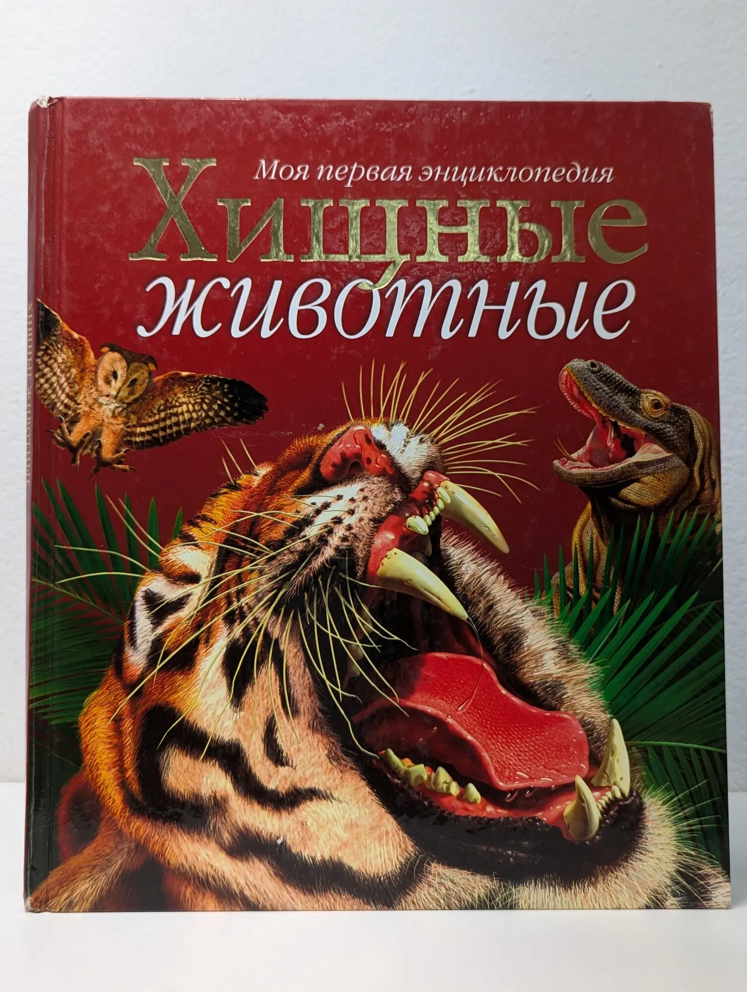 Моя первая энциклопедия. Хищные животные Сейденстикер Джон, Лампкин Сьюзан 2014
