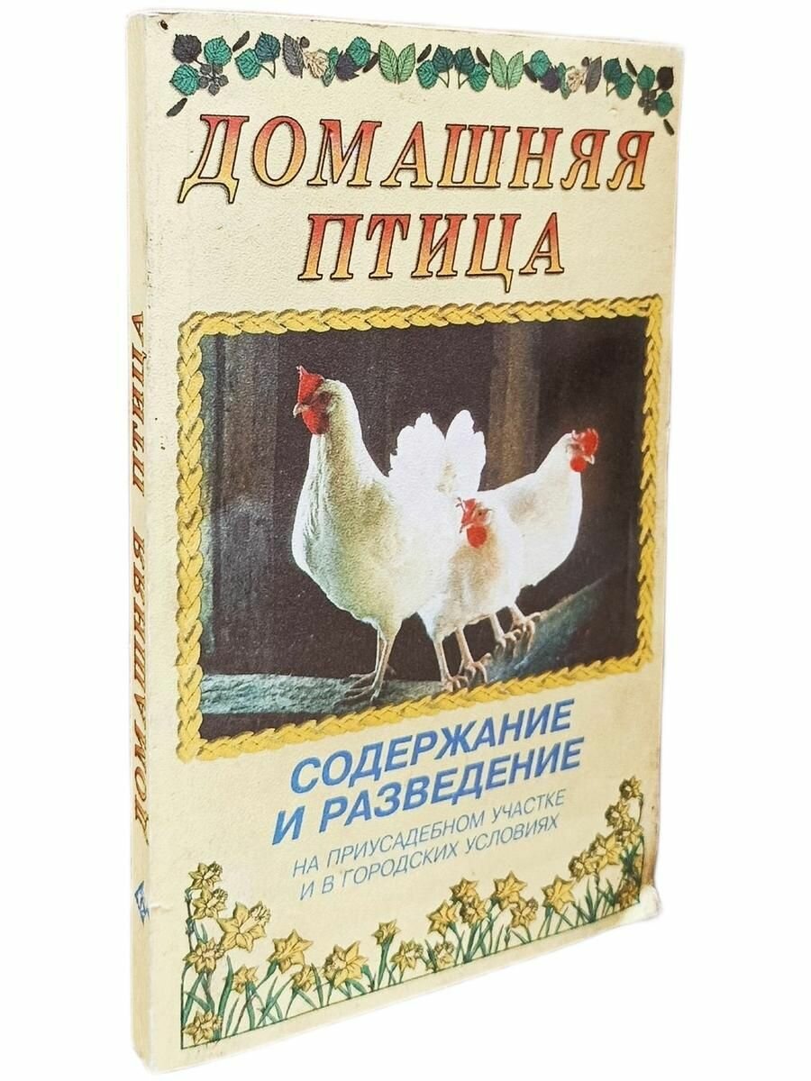Домашняя птица. Содержание и разведение на приусадебном участке и в городских условиях