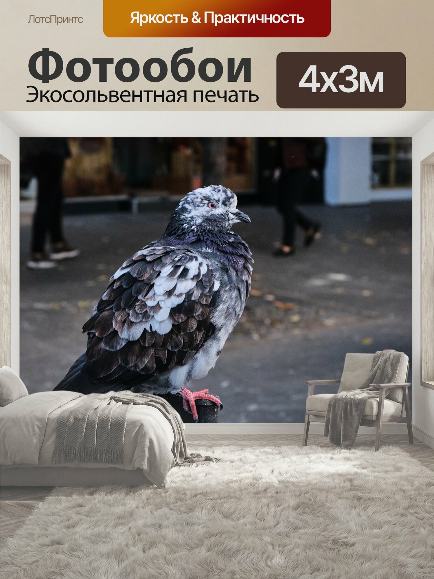 Фотообои "Голубь, птица, город" 400x300 см. экосольвентная печать