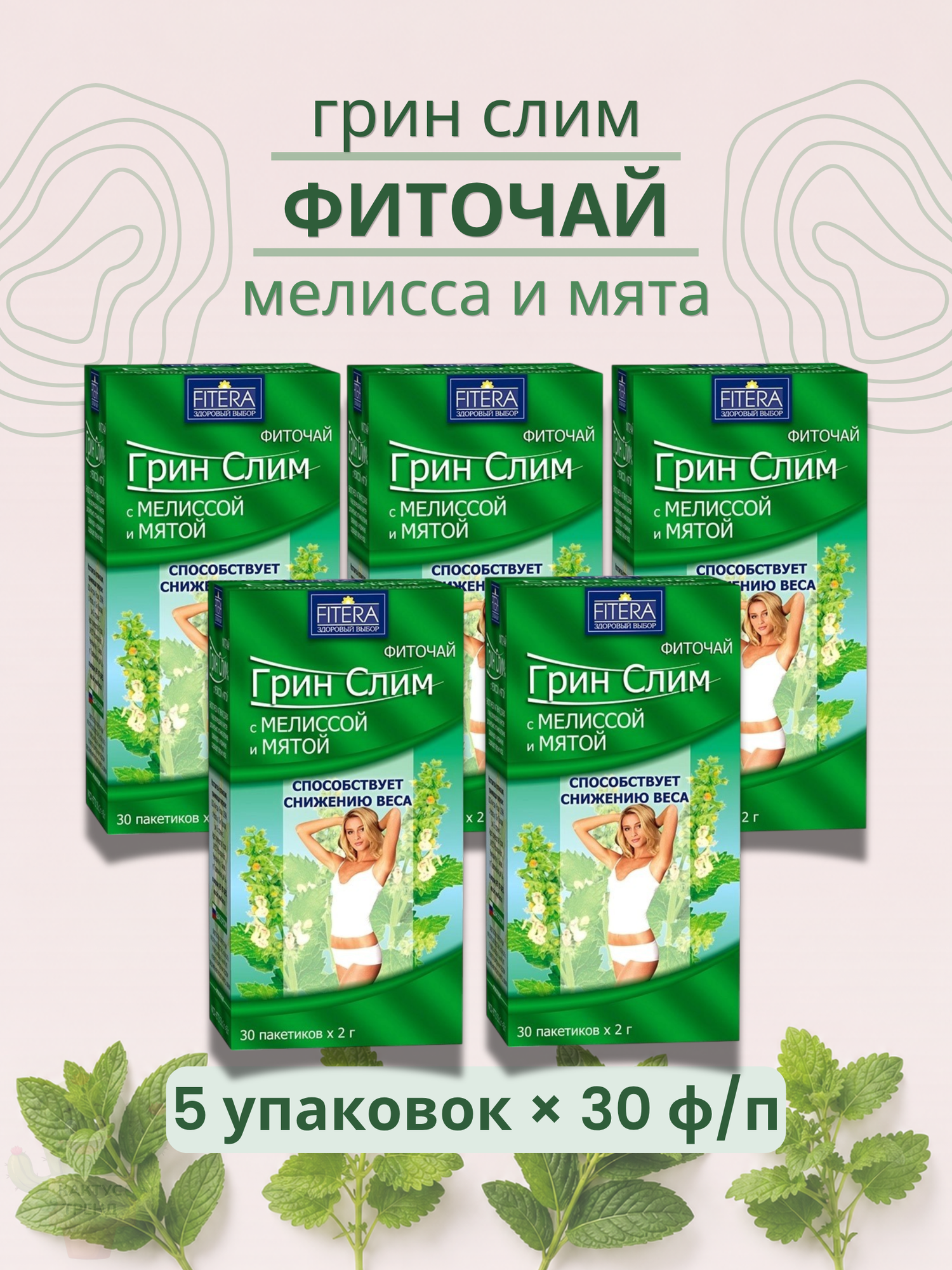 Фиточай грин-слим ТИ с мятой-мелиссой FITERA 30 фильтр-пакетов 5уп