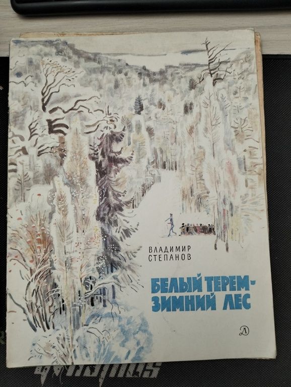 Степанов Владимир. Белый терем - зимний лес.