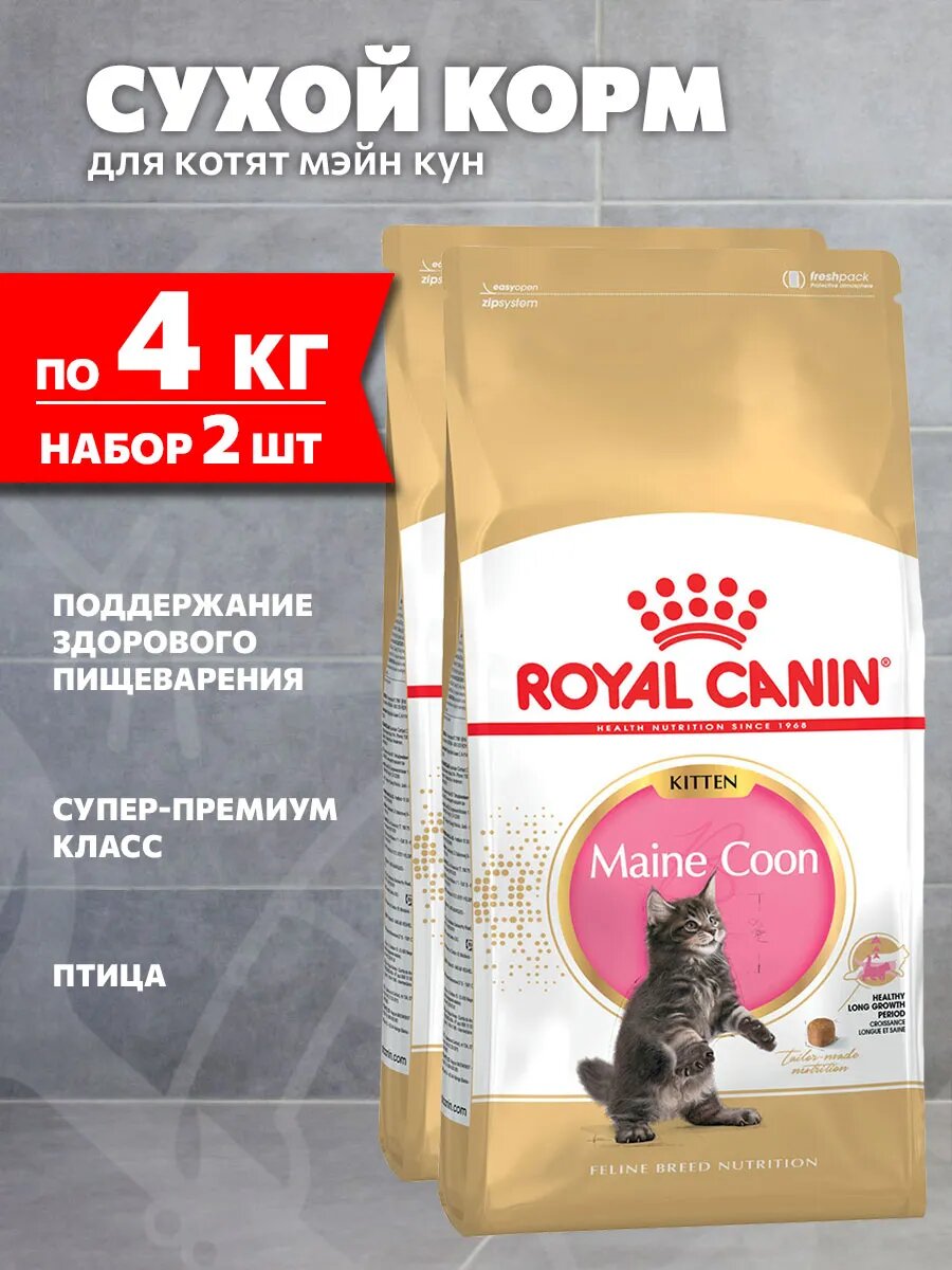 Корм сухой Royal Canin Maine Coon Kitten 36 для котят мэйн кун, 4 кг х 2 шт