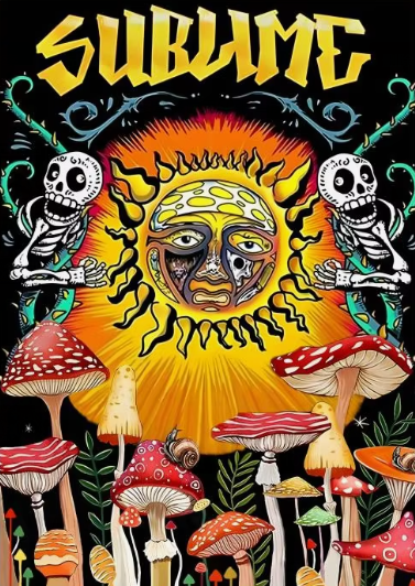 Алмазная мозаика "Sublime Классический оркестр" 40х50,