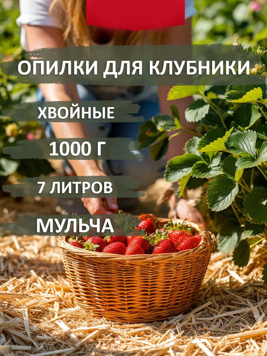 Опилки для мульчирования клубники со стружкой хвойные 1 кг РБС-Агро