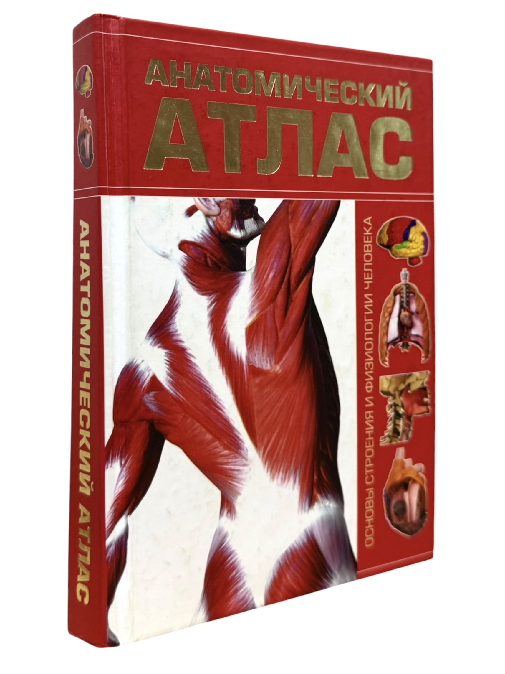 Анатомический атлас. Основы строения и физиологии человека (мини-формат)