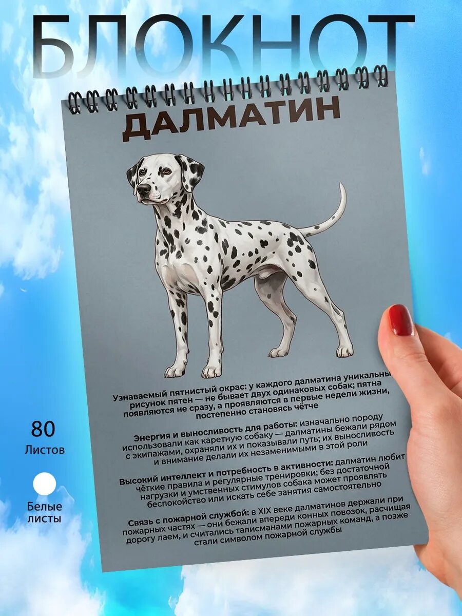 Блокнот А6 - Далматин