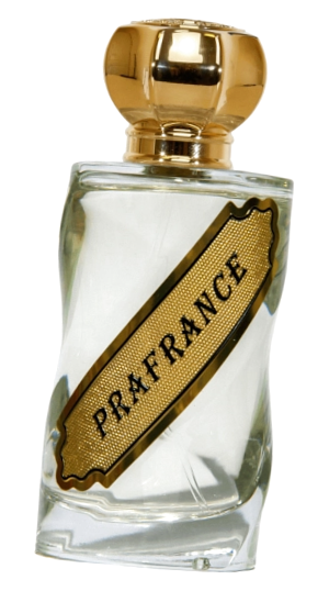 Прафранс аромат для мужчин и женщин 100 мл - 12 Parfumeurs Francais Prafrance духи французские